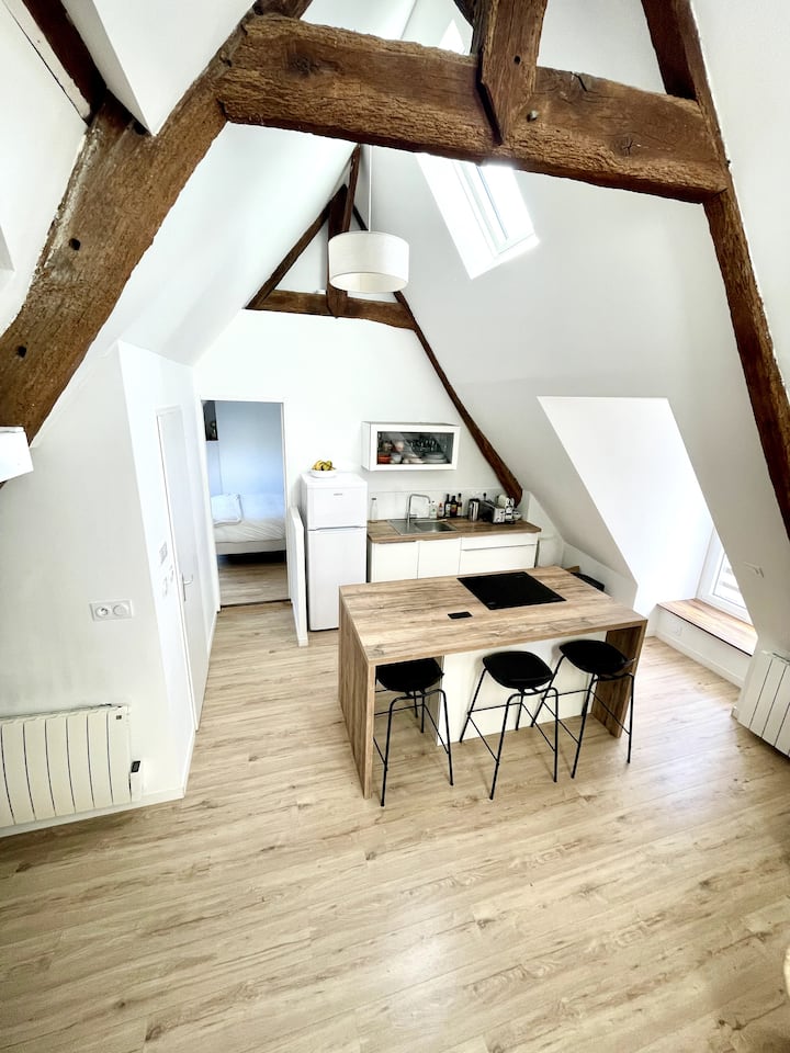 Logement De Charme- Hyper Centre - Morbihan