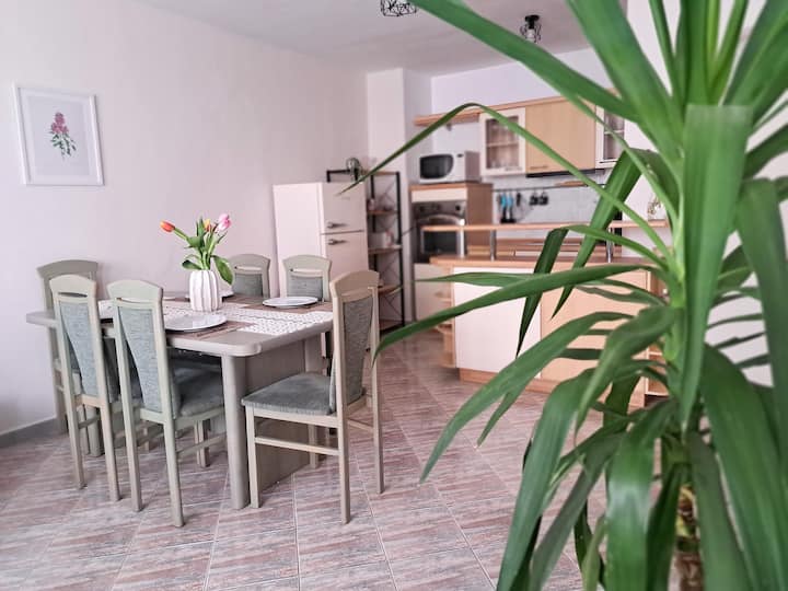 Уютен дом на 15 минути от плажа - Varna