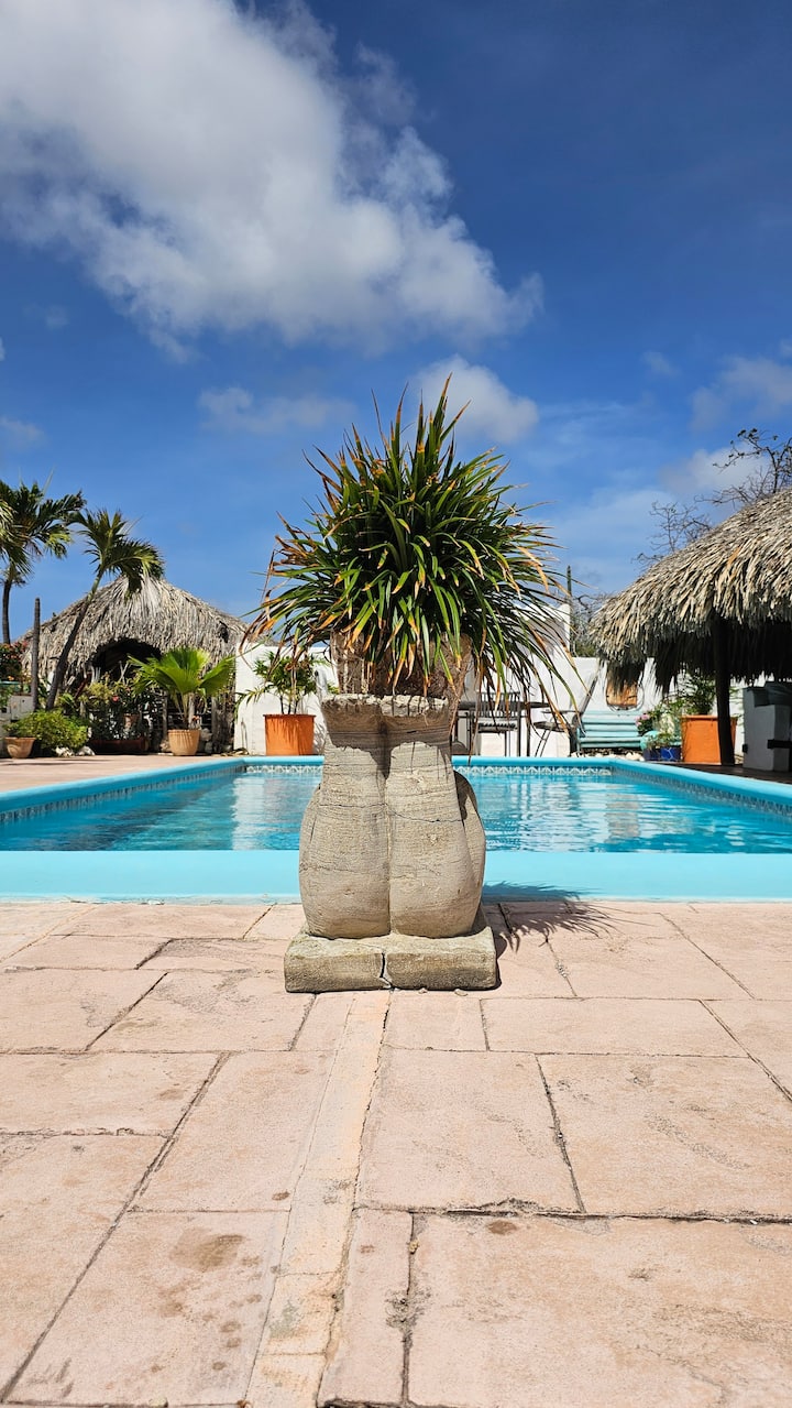 Large Guesthouse With Private Pool - Aruba