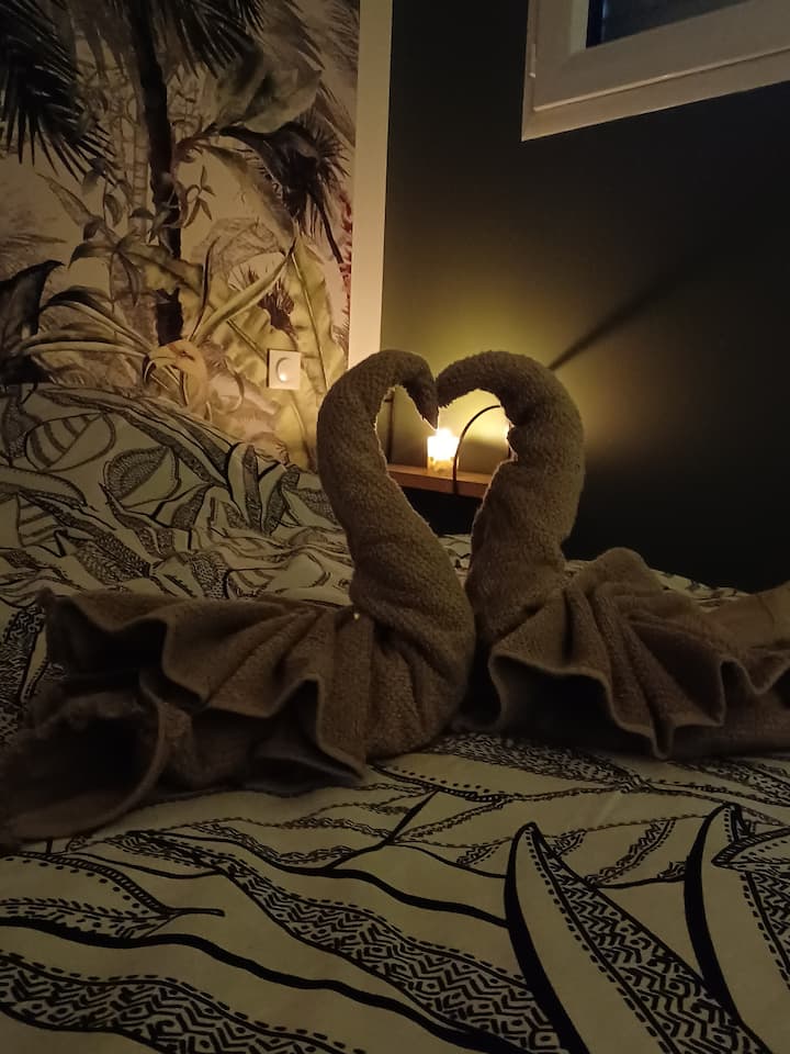 Gîte Le Cosy Avec Spa Et Fauteuil Massant - Aire-sur-la-Lys