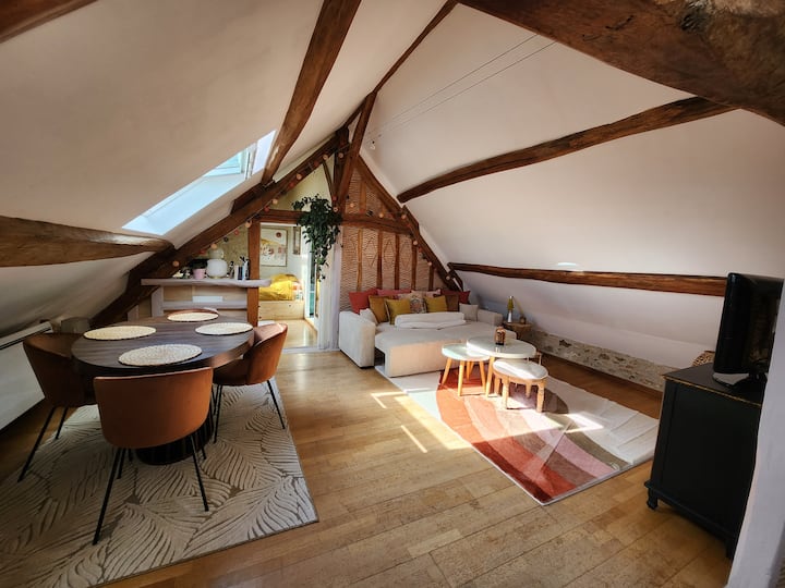 Appartement Cosy - Senlis