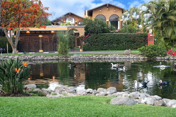 "Casa Gabriela" Cuernavaca, Sumiya. Total Relax. - Cuernavaca