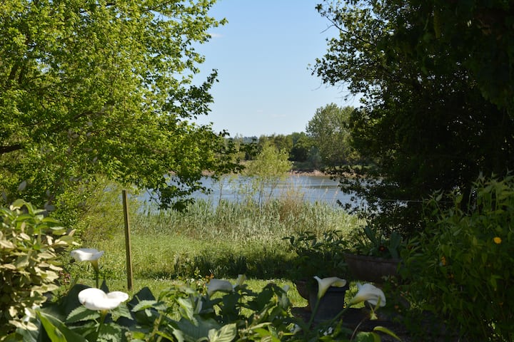 Gîte Le Petit Rouyot 3* - Libourne