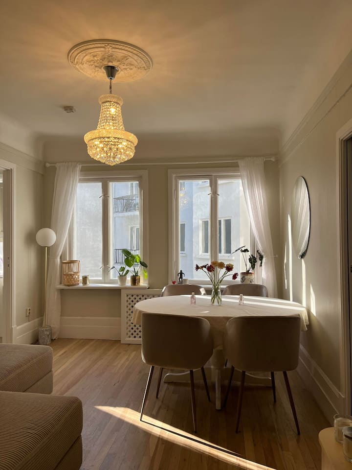 Supersentral Koselig Leilighet - Oslo