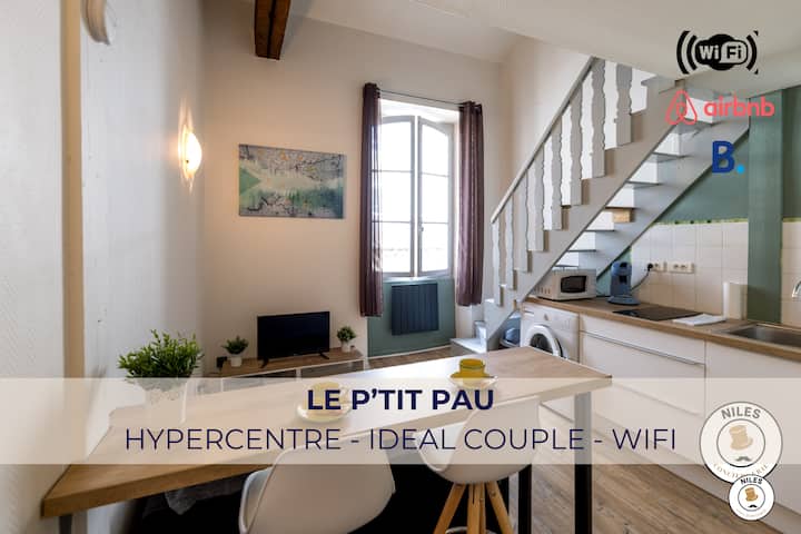 Le P'tit Pau ~ Hypercentre ~ Idéal Couple Et Wifi - Pau