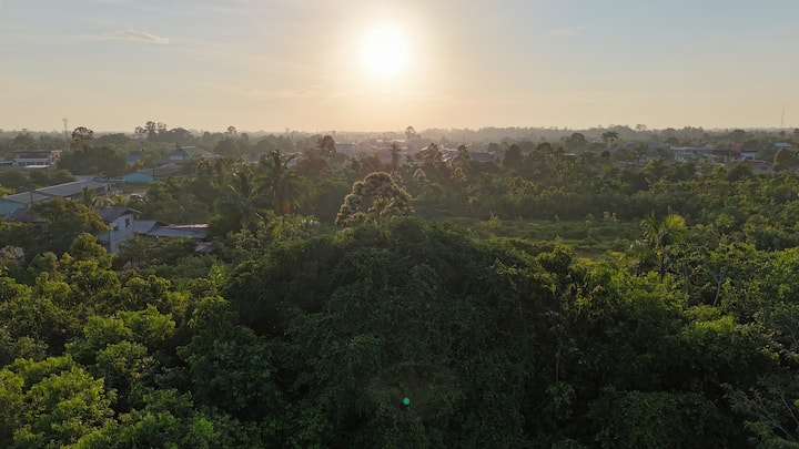 Solace Sranan, Boutique Stay Near Paramaribo - Suriname