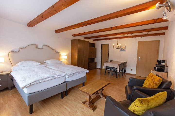 Central Downtown South Studio - Zermatt