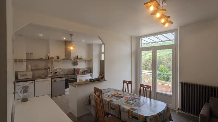 Grand Appartement Lumineux - La Joue du Loup