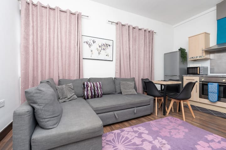 Homely 2-bed City Centre Lodge - Southampton Airport (SOU)