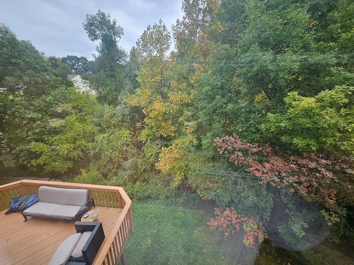 Walk Out Basement With 1 Bedroom - Abingdon, MD