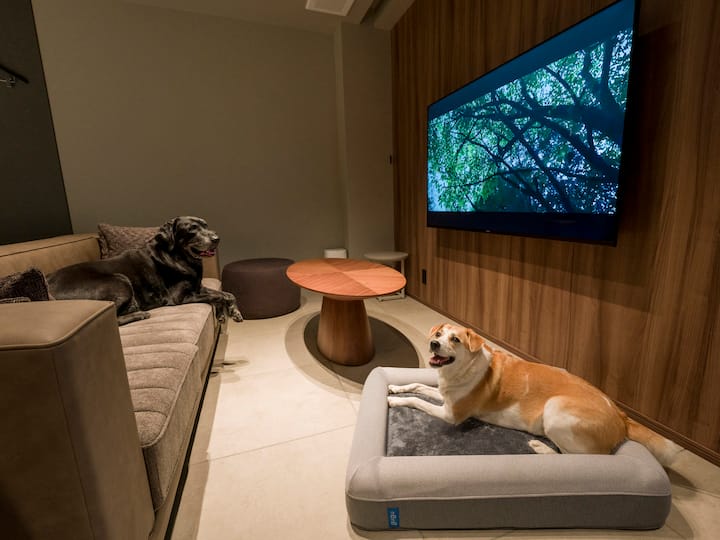 2 Double Beds / Hot Spring / Sauna / Dog Friendly - Hakone