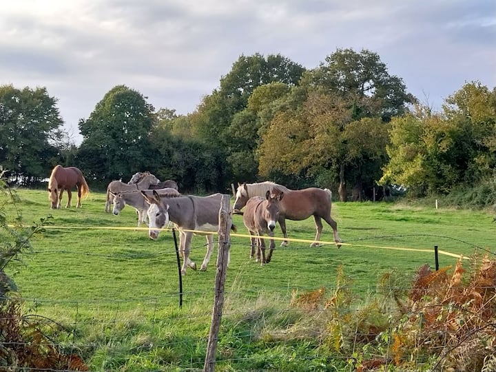 Gîte Traitsanes En Berry Centre-val De Loire - Cher