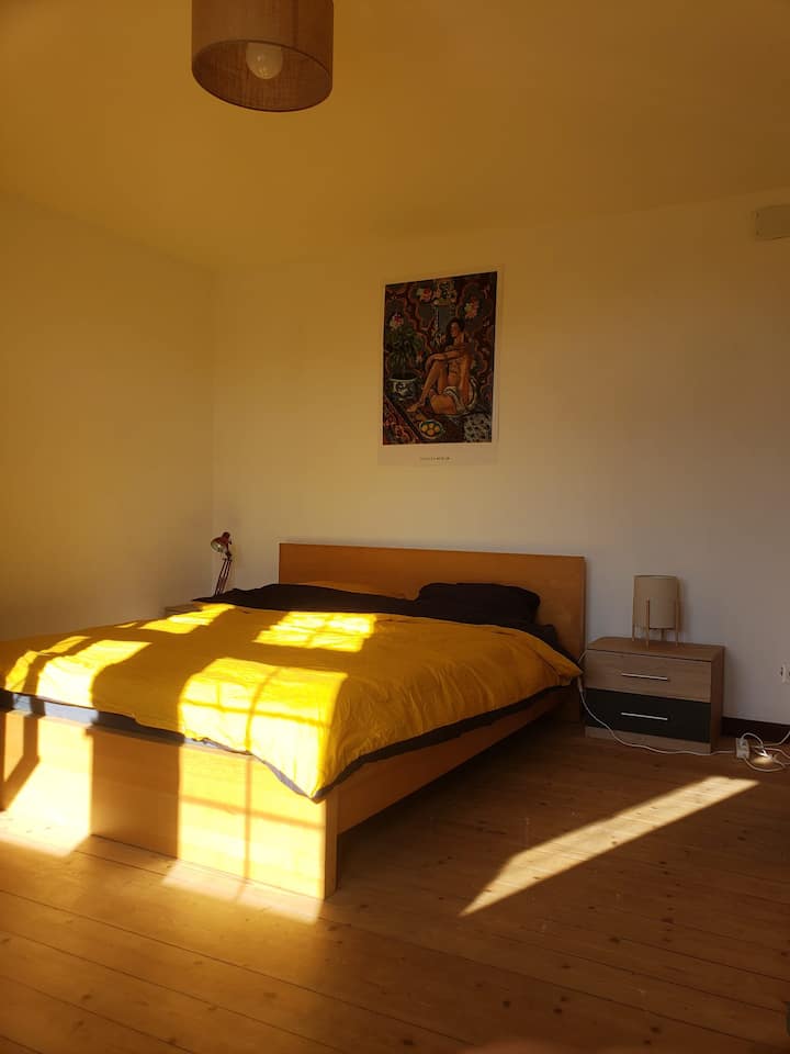 Duplex 100m De Bâle - Bartenheim