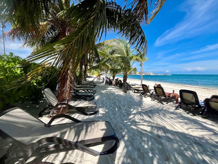 Beachfront & Oceanview W/terrace Condo For 6 - Cancún