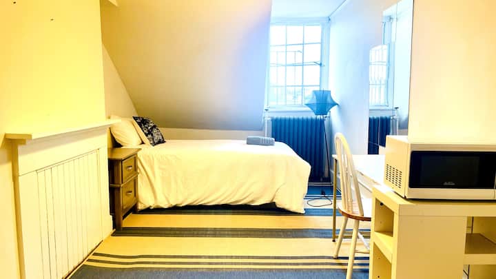 Quiet Room In Back Bay & Beacon Hill. Walk To Mgh - Boston, MA