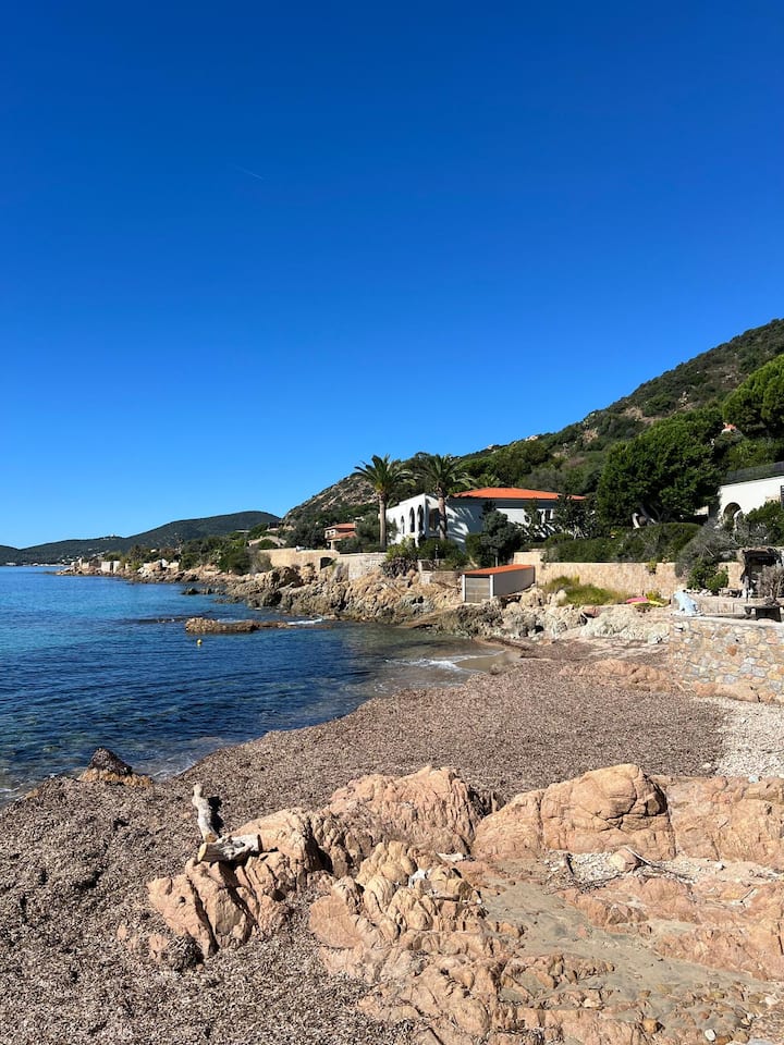 Superbe T3 Pieds Dans L'eau Vue îLes Sanguinaires - Ajaccio