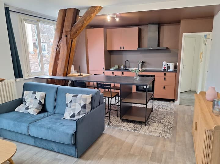 Lumineux T2 50 M2 - Hypercentre Besançon - Besançon