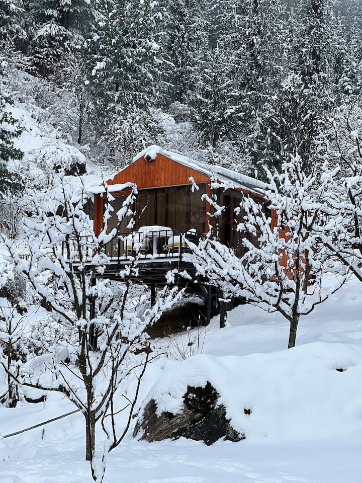 Luxury Glass Cabin, Cafe N Lounge In Forest - Manali