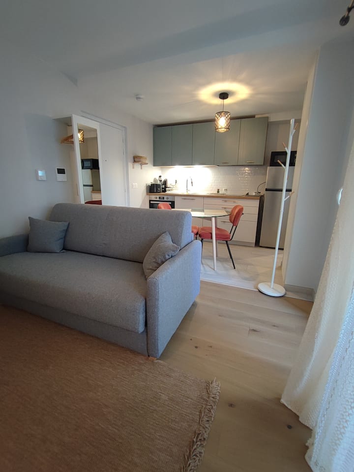 Studio Thermalistes Vacanciers Voyages D Affaires - Aix-les-Bains