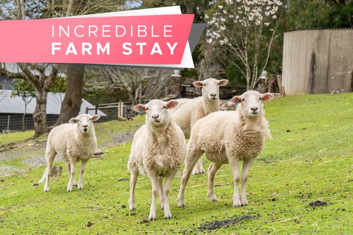 Carawatha On The Range - Unique Farm Stay - Woodside
