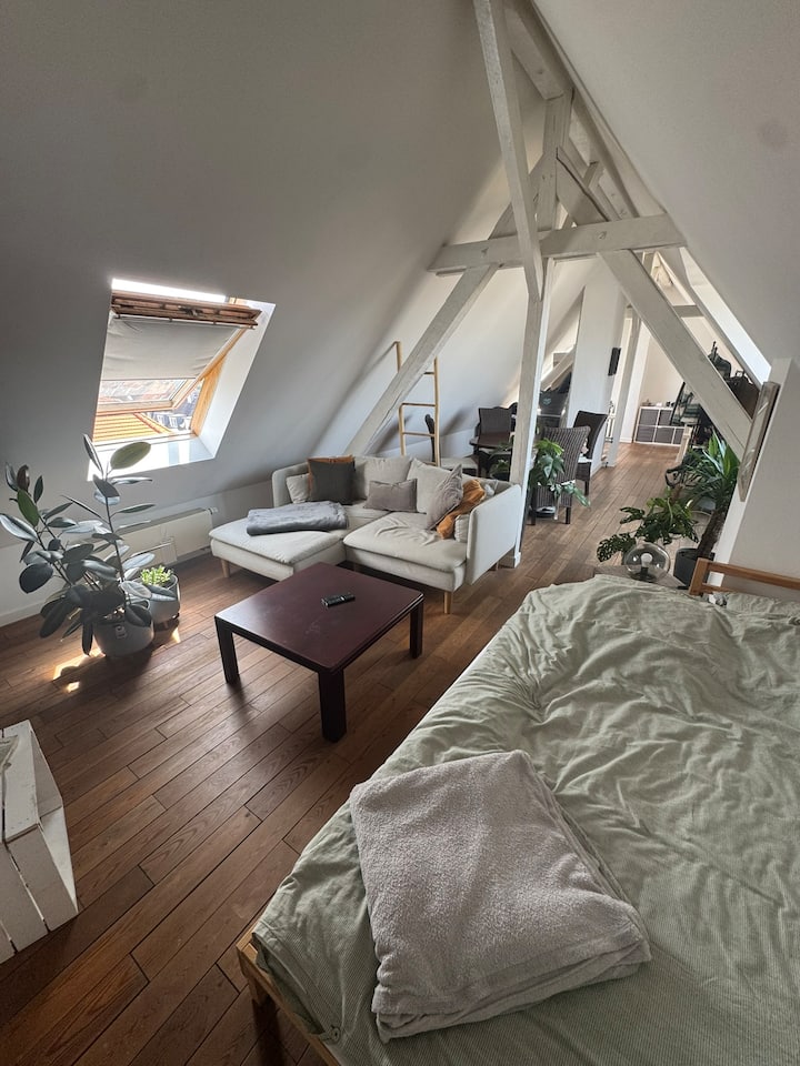 ÜBer Den Dächern Von Köln-nippes - Köln