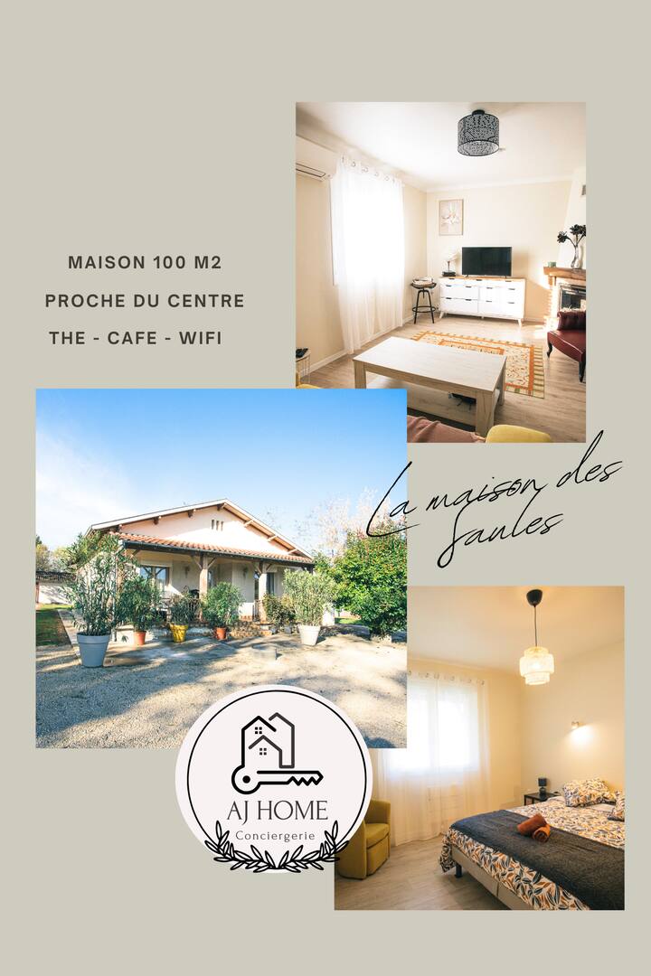 La Maison Des Saules - Proche Du Centre, Parking - Montauban