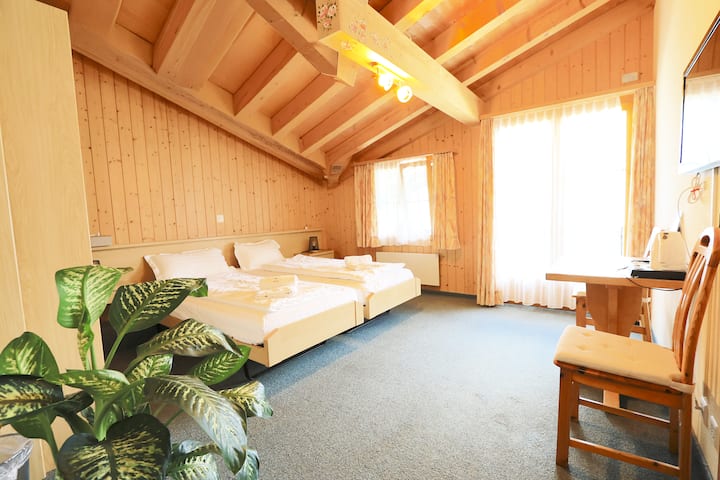 Lake View Double Room No. 3 - Brienz