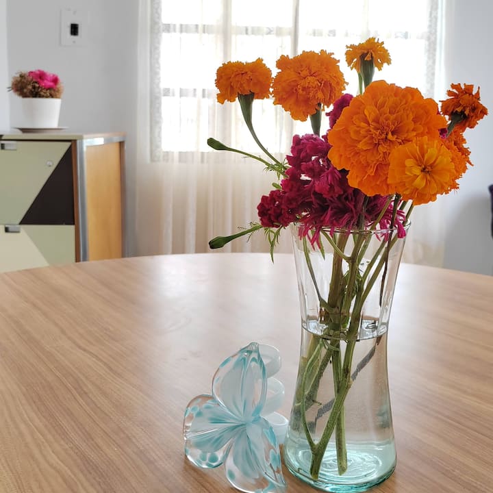 Rosalita-toda Para Ti - Monterrey Airport (MTY)