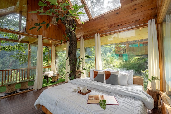 The Sinatra Skylight: Glasshouse In The Mist:tandi - Jibhi