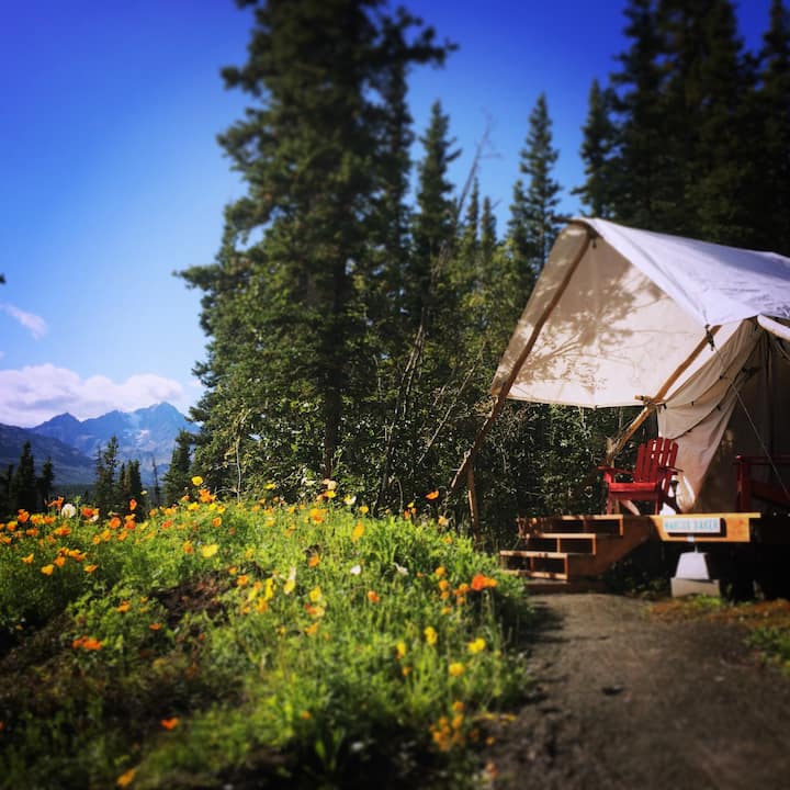 Alaskan Glamping - Knik Tent - Free Breakfast - Alaska