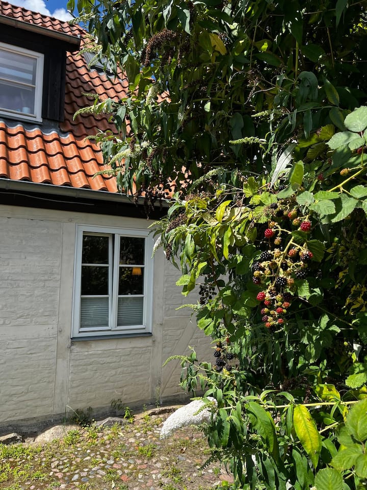 Gemütliches Apartment - Ralswiek