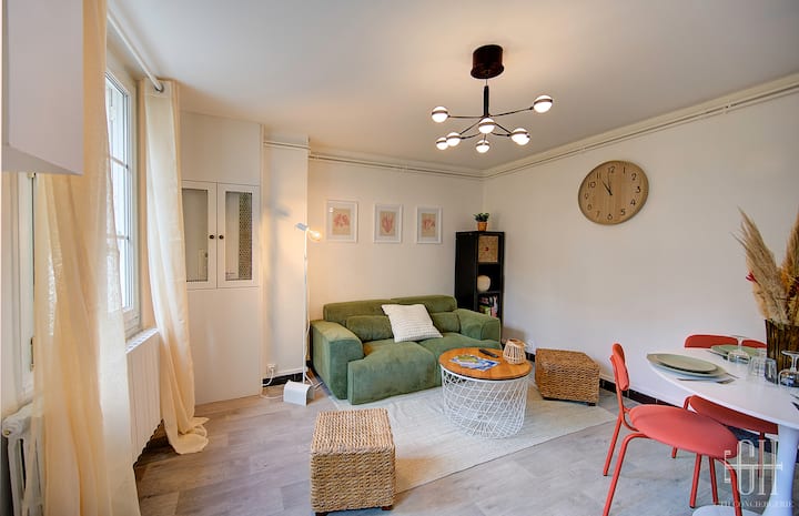 Le Faubourg / Quai Paul Bert / Triplex De Charme - Tours