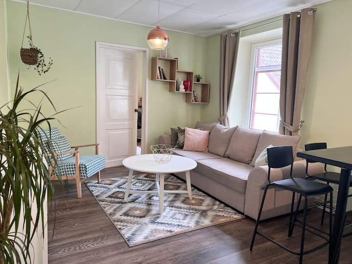 1 Bedroom, Steps From The Viru Gate - Tallinn