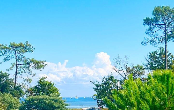Logement Entier 8 P.vue Bassin Arcachon 4*by Vayny - Lège-Cap-Ferret