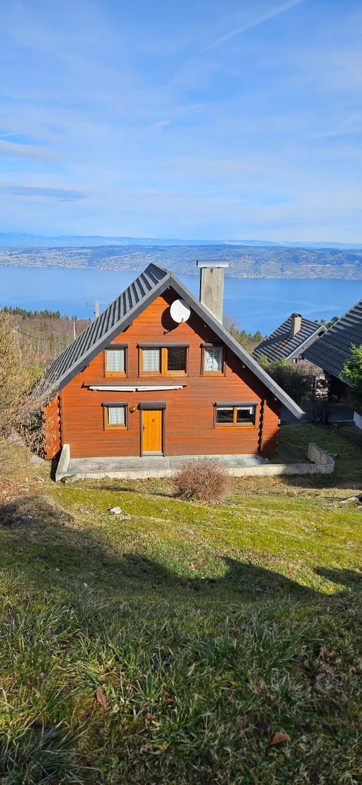 Chalet Les Alpages Vue Panoramique Sur Lac Léman - Thollon-les-Mémises