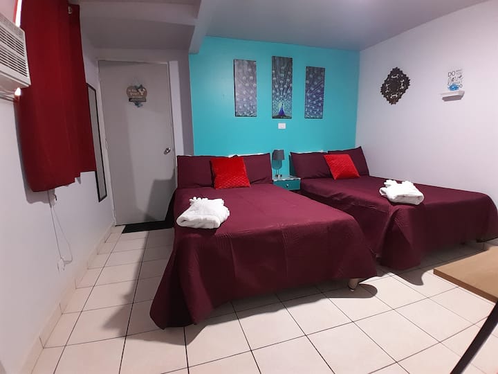 Private Apartment A/c, Wifi, 2 Dble. Bed, W/garage - San Salvador