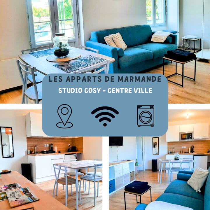 "Les Apparts De Marmande" : Appart Cosy - ibis budget Marmande