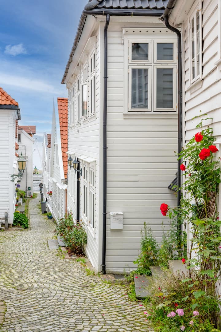 Charming Skuteviken Apartment - Bergen