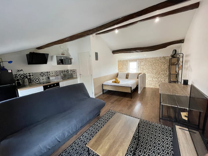 Le Saint André - Chez Jean-yves Et Zoé - ibis Niort Marais Poitevin