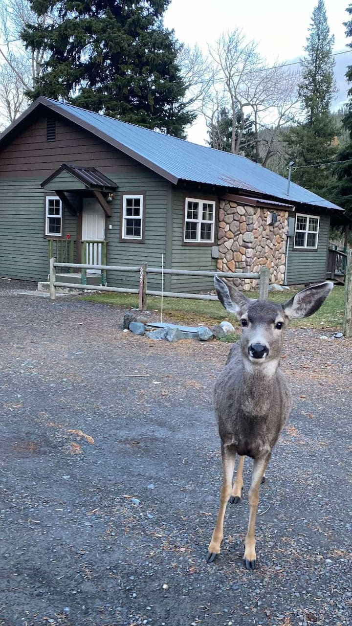 #6-wallowa River Frontage Home-close To Activities - Wallowa Lake, OR