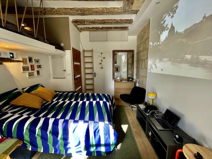 Appartement Bord De Loire Proche Tours Centre - Tours