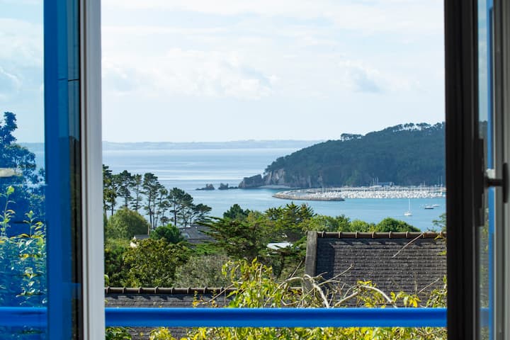 La Maison Bleue | Belle Vue Mer Et Jardin - Plage de l'île Vierge