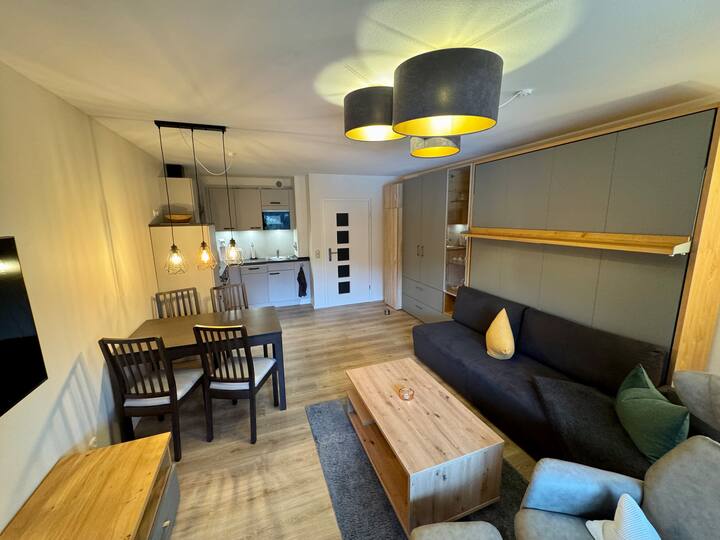 Gipfelblick Apartment - 戈斯拉爾