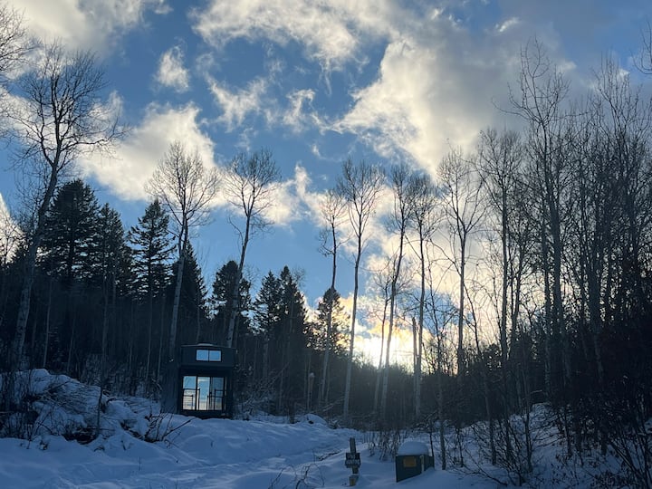 Cozy Tiny House - Conant Valley, Id - Swan Valley, ID