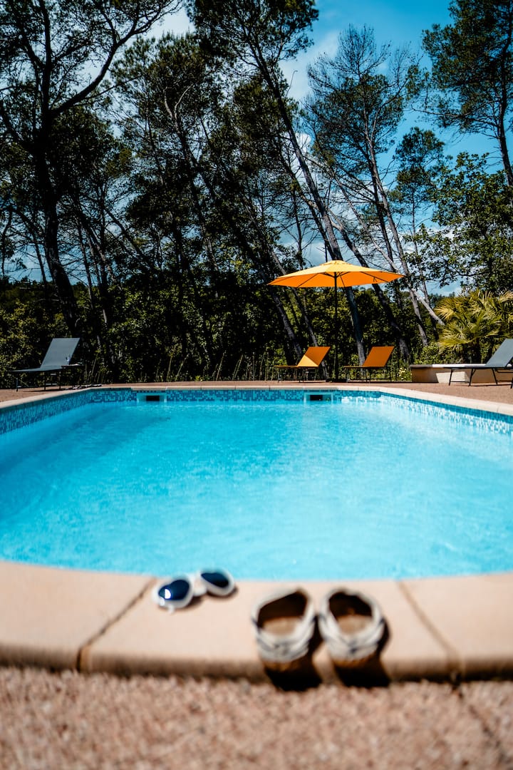 Villa Saint Louis à Lorgues · Piscine & Spa - Lorgues