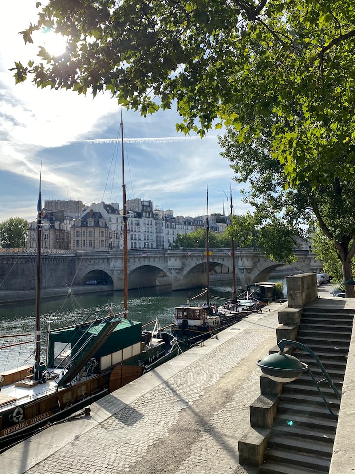 Exquisite City Center Apartment - Paris