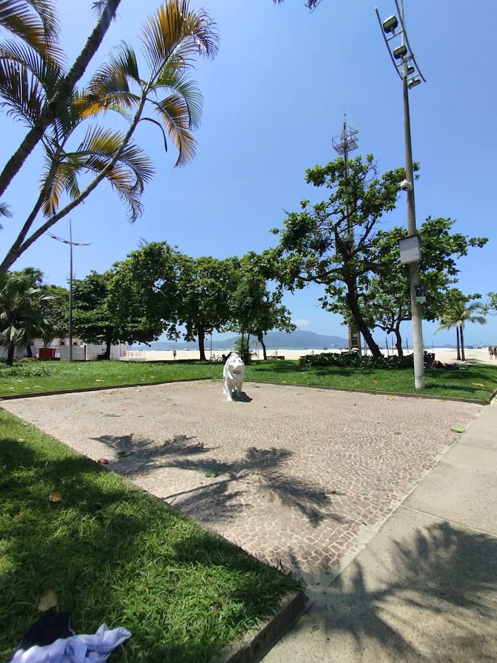 Temporada Beira Mar Em Santos - Santos