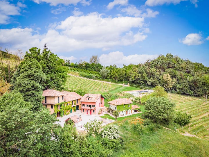 Luxury Estate With Amazing View - Piedmont