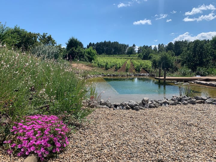 Eco Gîte Au Cœur Des Vignes 6/8 Pers. - Joyeuse