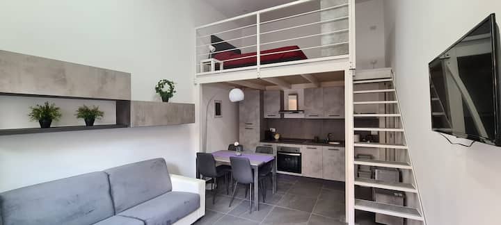 Bilocaleloft Piano Terra Stile Minimalista, Torino - Turín